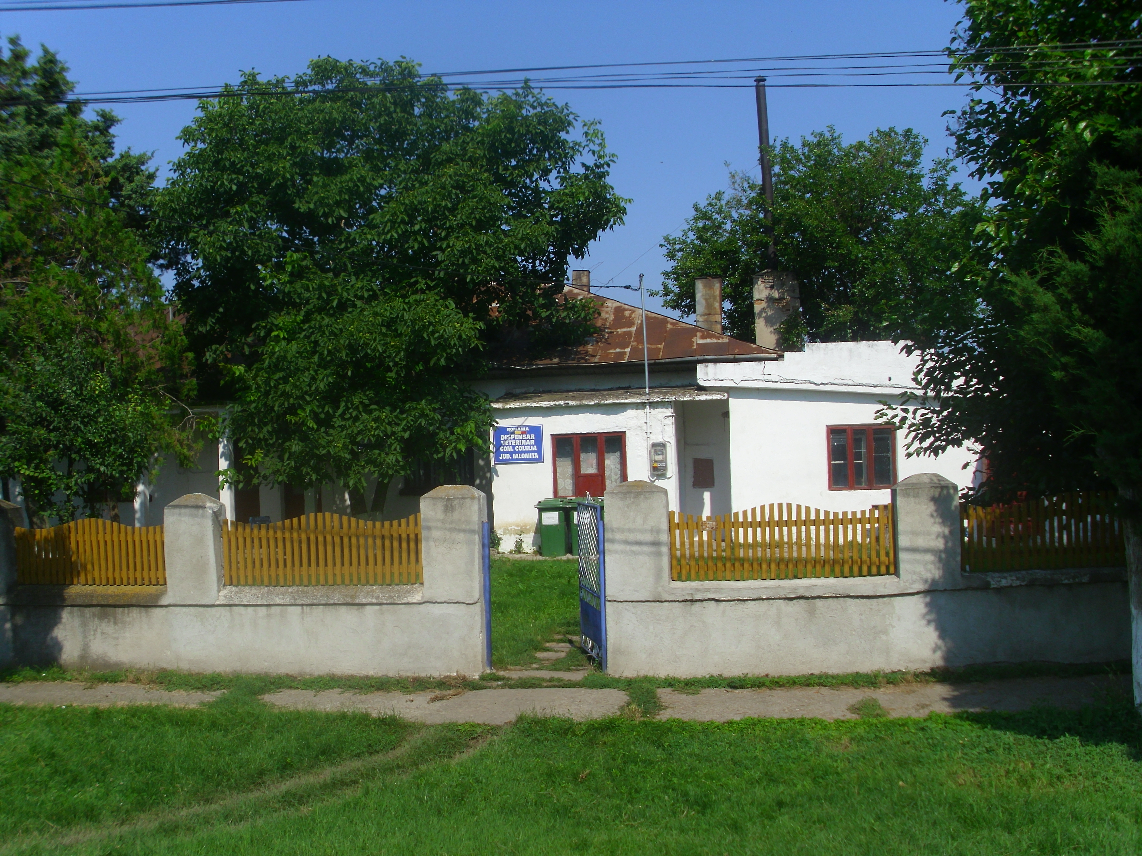 dispensar-colelia-5 – Primaria Colelia