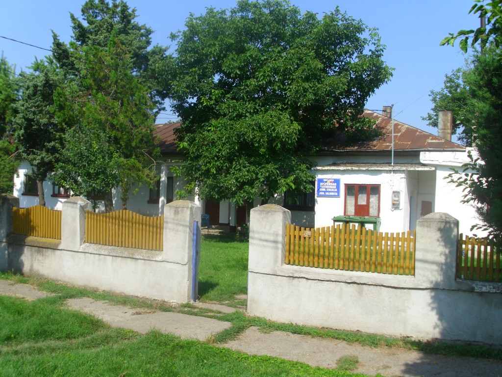 dispensar-colelia-6-1024×768 – Primaria Colelia