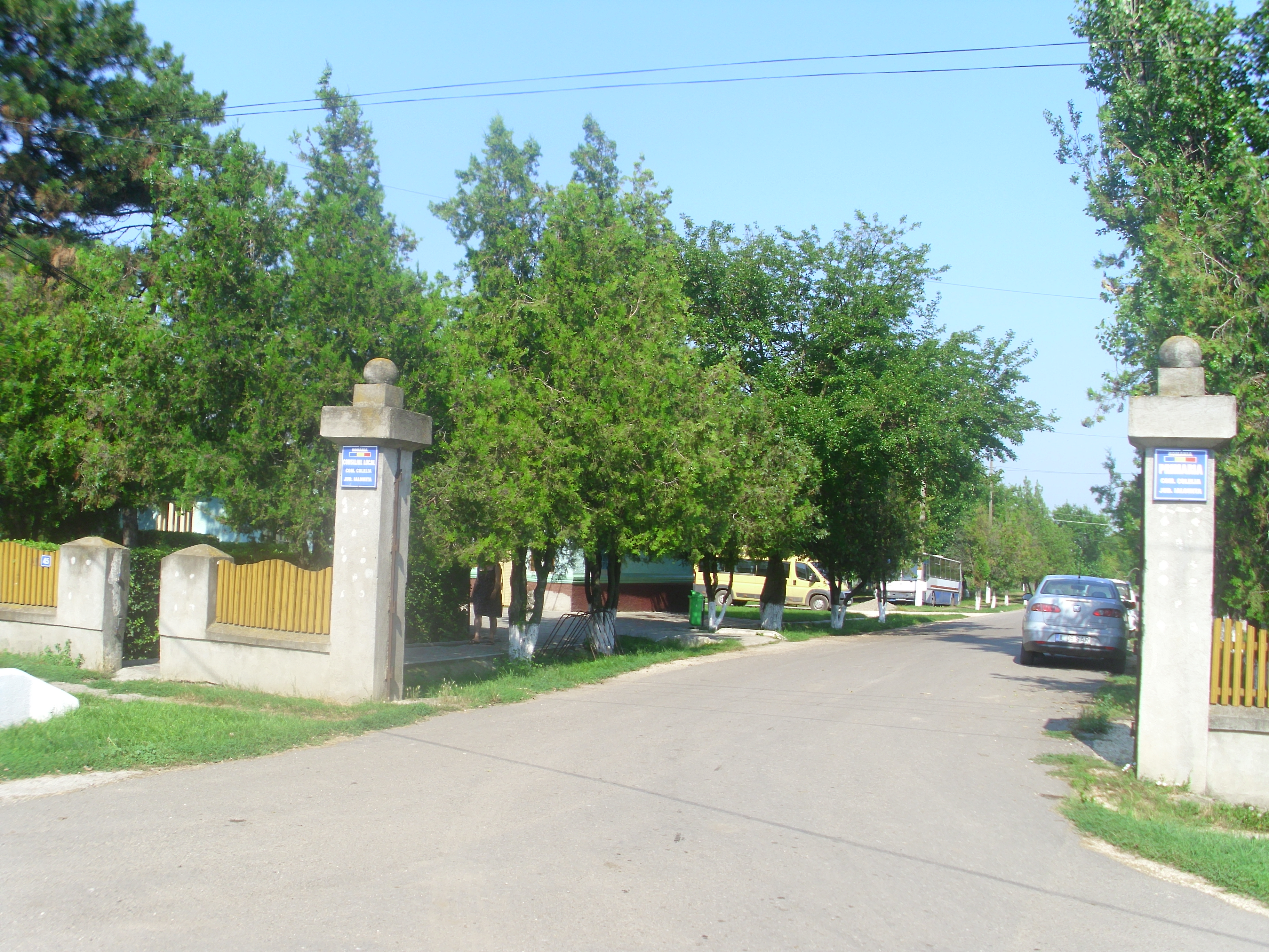 imagini-Colelia-3 – Primaria Colelia