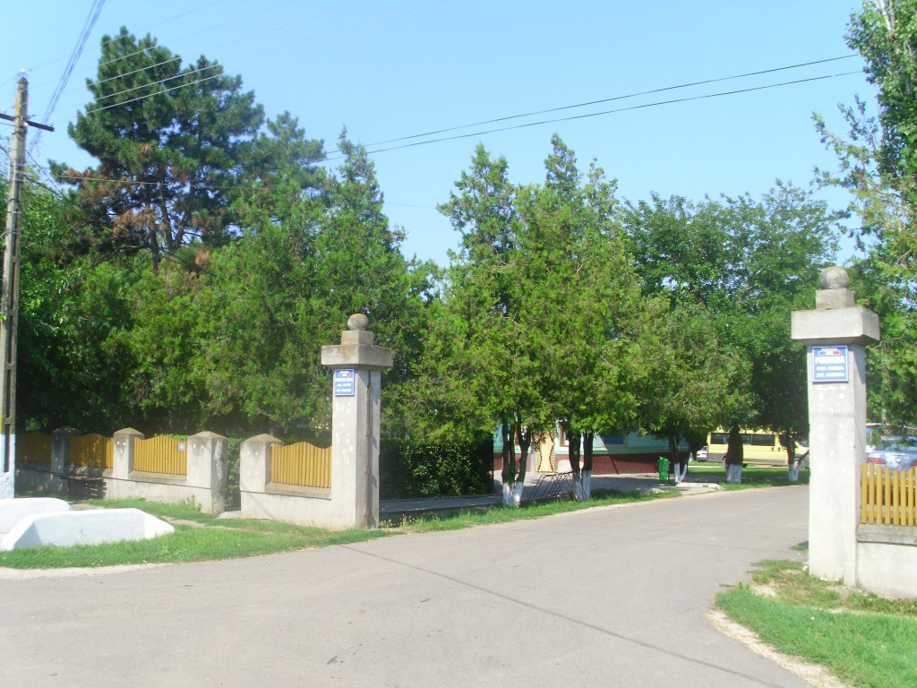 imagini Colelia (4) – Primaria Colelia