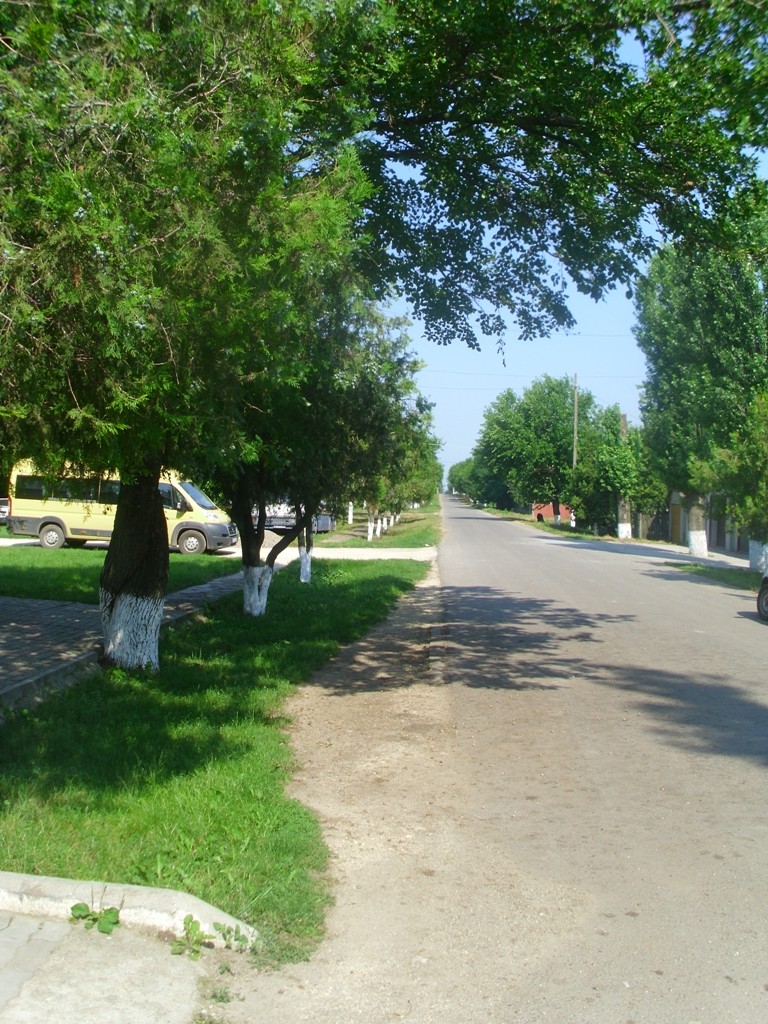 imagini Colelia (2) – Primaria Colelia