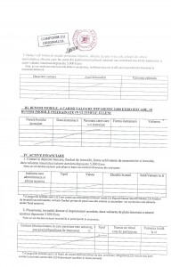 decl avere radulescu teodor1 002 – Primaria Colelia